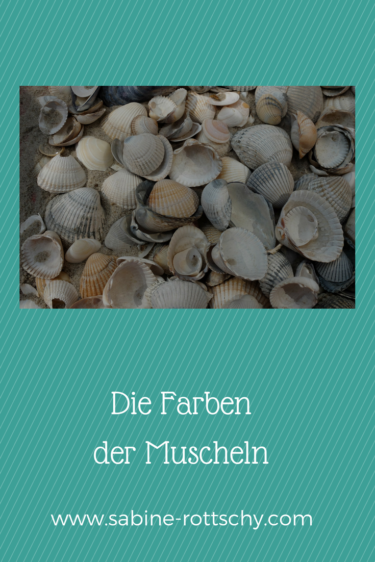 Die Farben der Muscheln • Sabine Rottschy